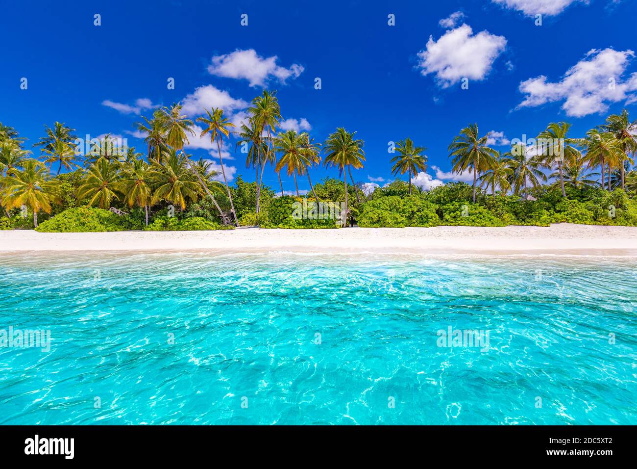 Exotic Backdrop Vacation Wallpaper Exotic Tropical Beach Landscape