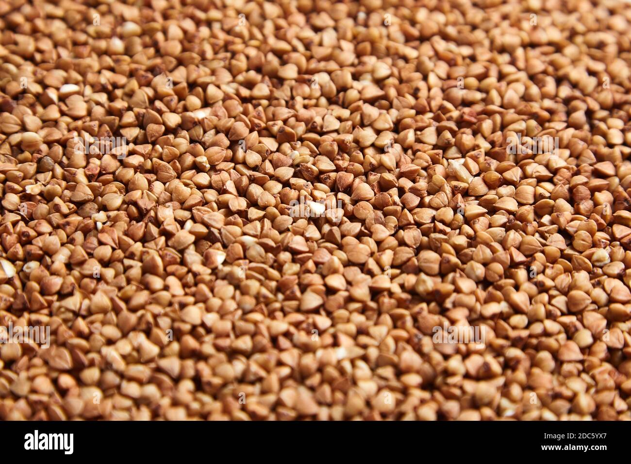 Buckwheat grains. Dry brown kernel as background Stock Photo - Alamy