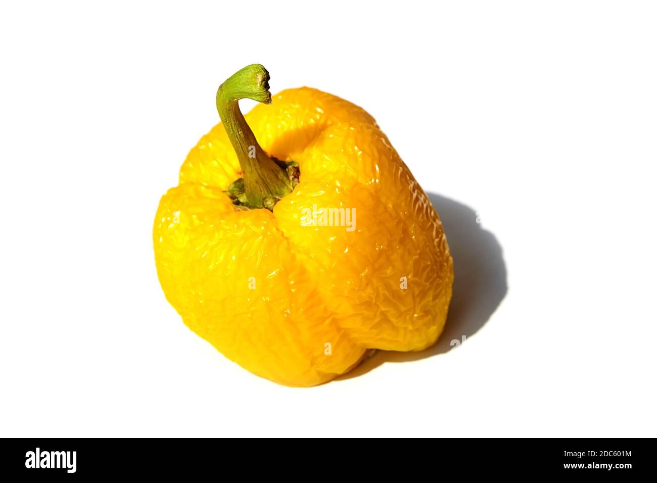 Spoiled wrinkled yellow pepper isolated on white background Stock Photo ...