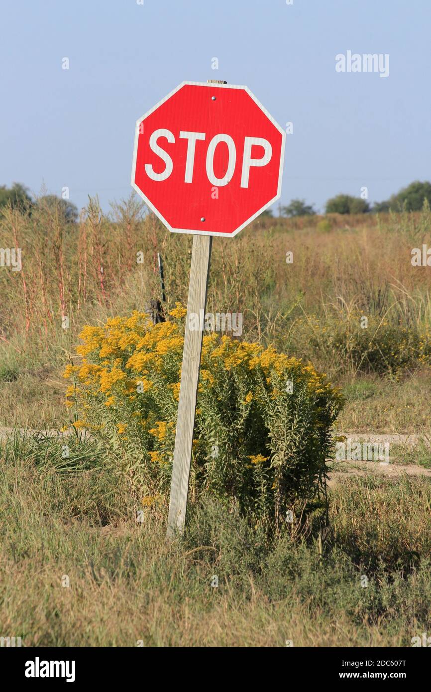 Kansas country road with a stop sign wild flowers and blue sky out in ...