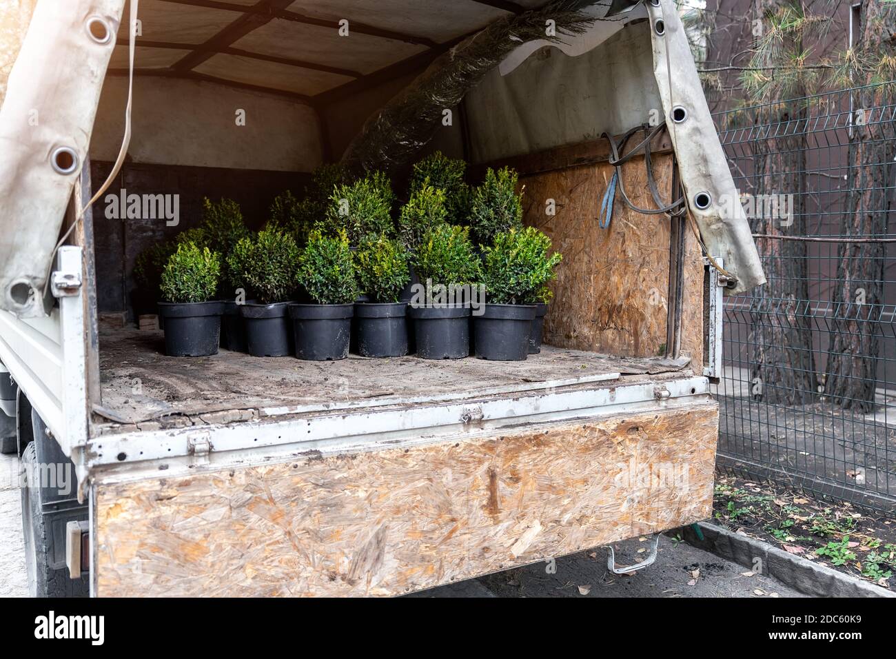 Back view of open cargo truck van body delivering from nursery plants ...