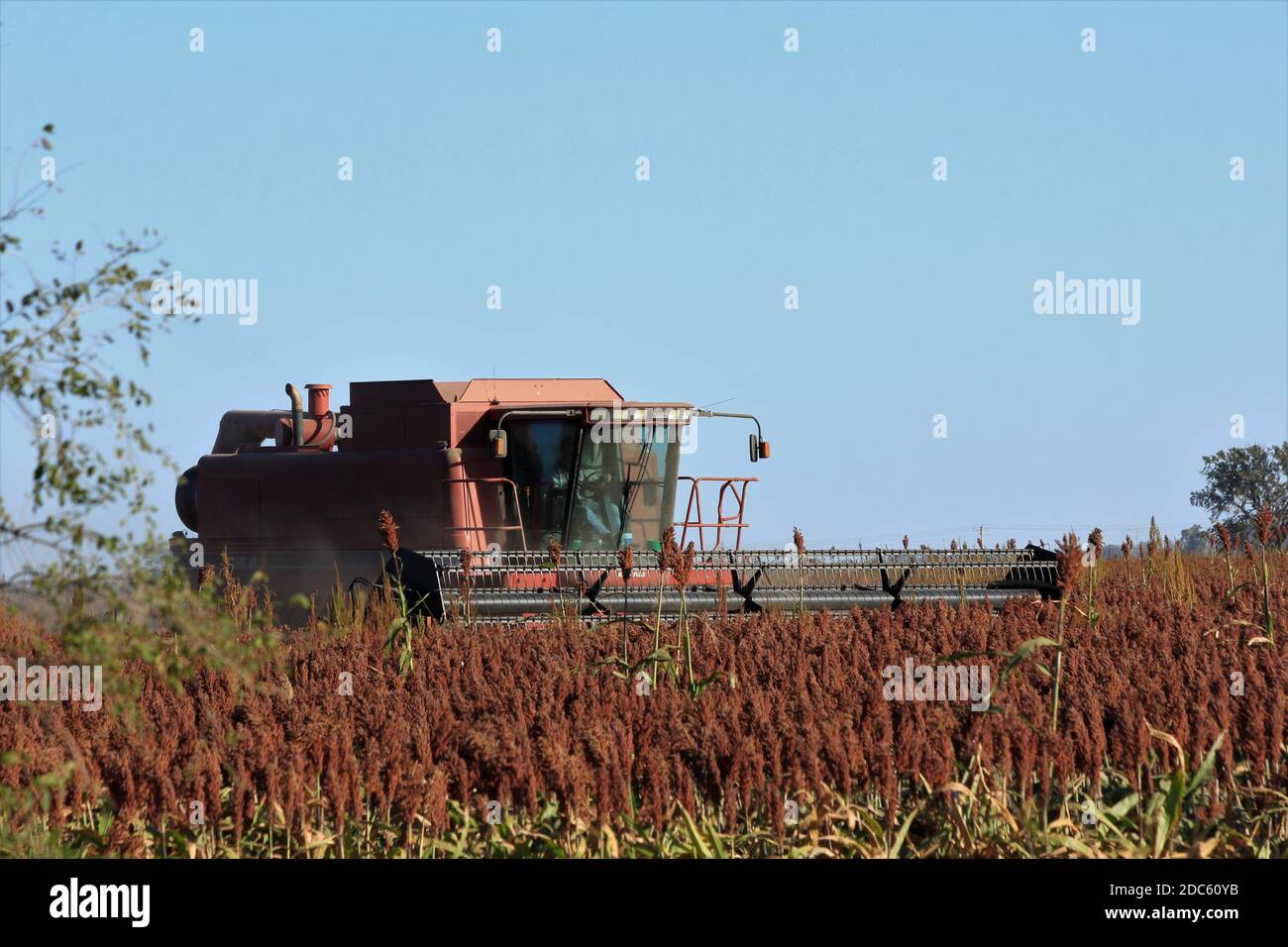 Mccormick 82 Combine