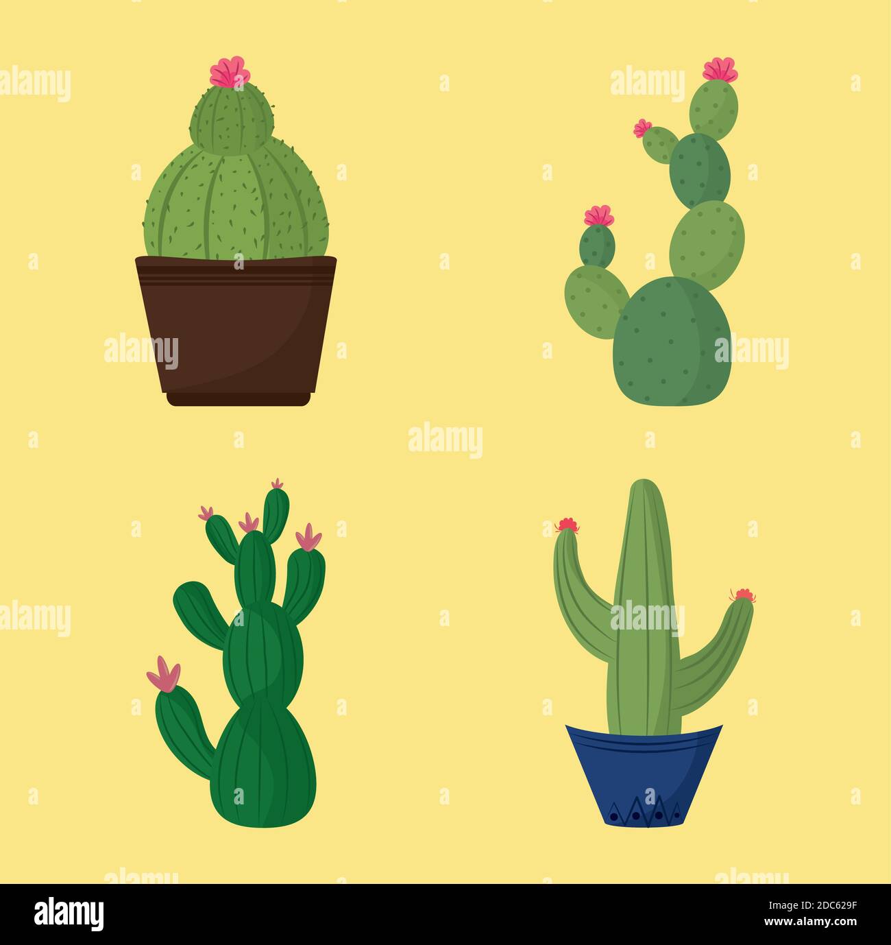 Cacti Spine Stock Vector Images Alamy