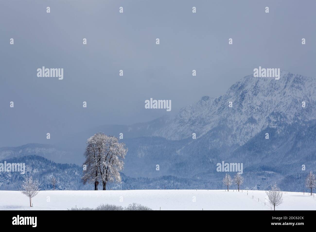 geography / travel, Germany, Bavaria, winter in front of Herzogstand ...
