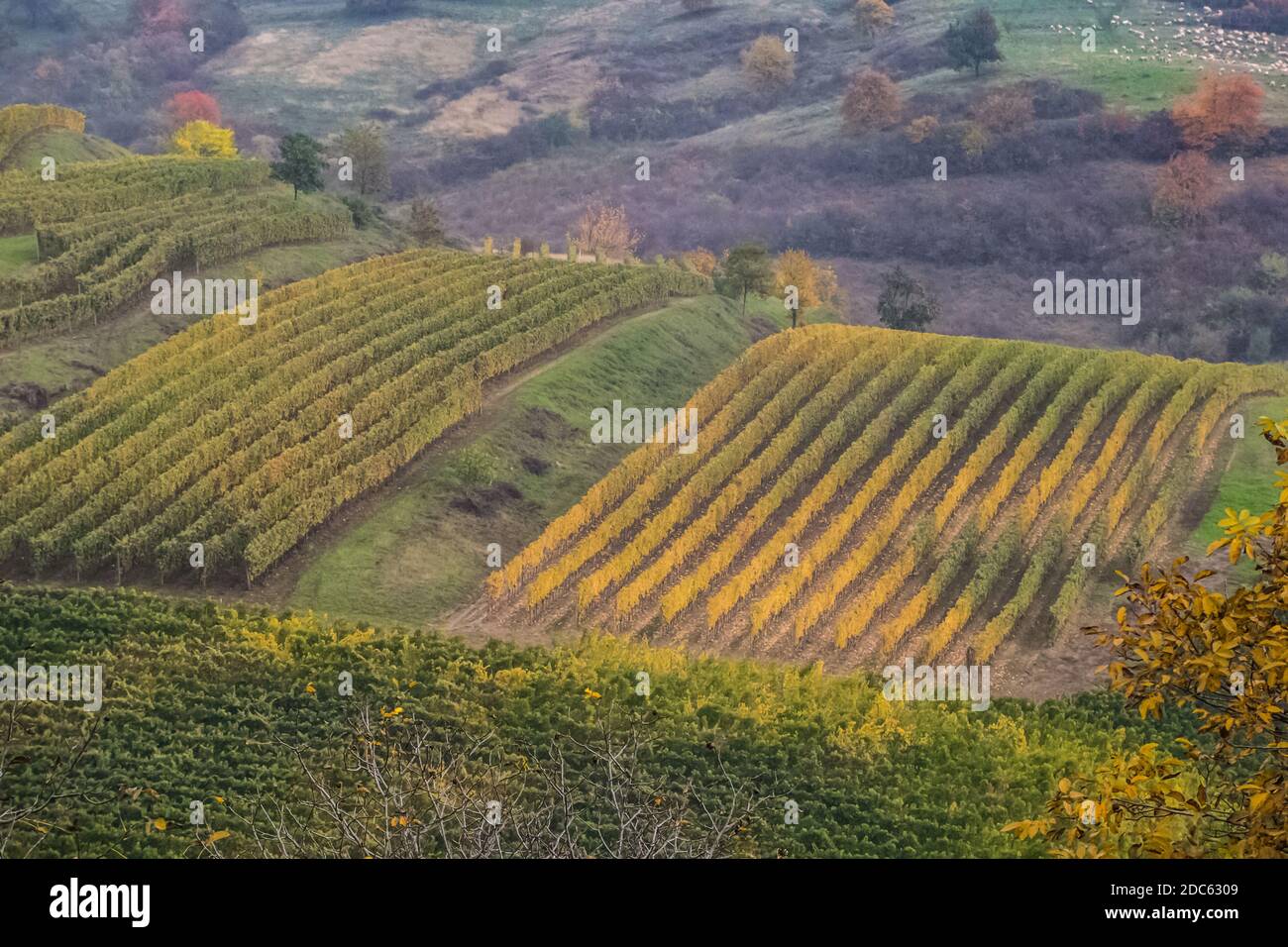 An aerial view of autumn fields Stock Photo - Alamy