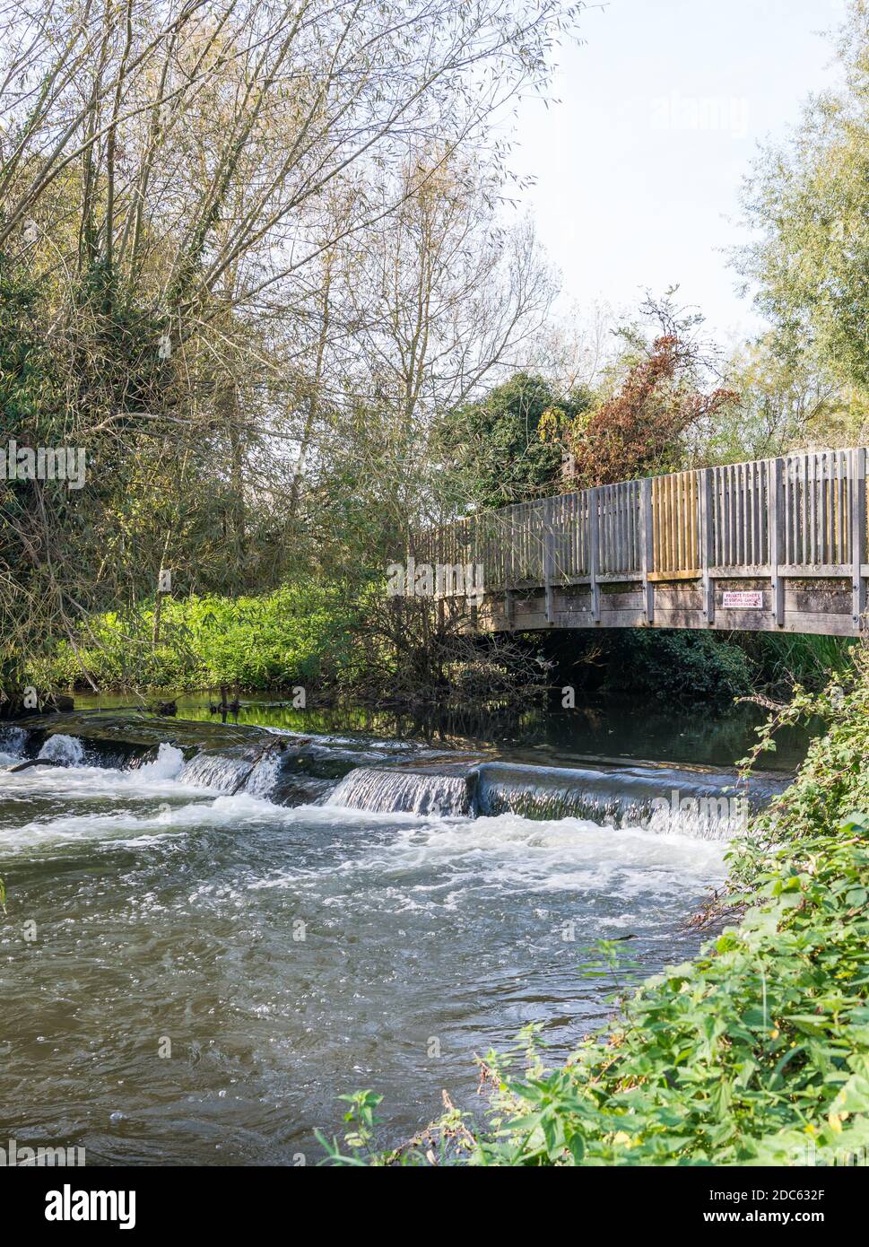 Weir and footbridge on the River Colne, Stockers Lake nature reseerve ...