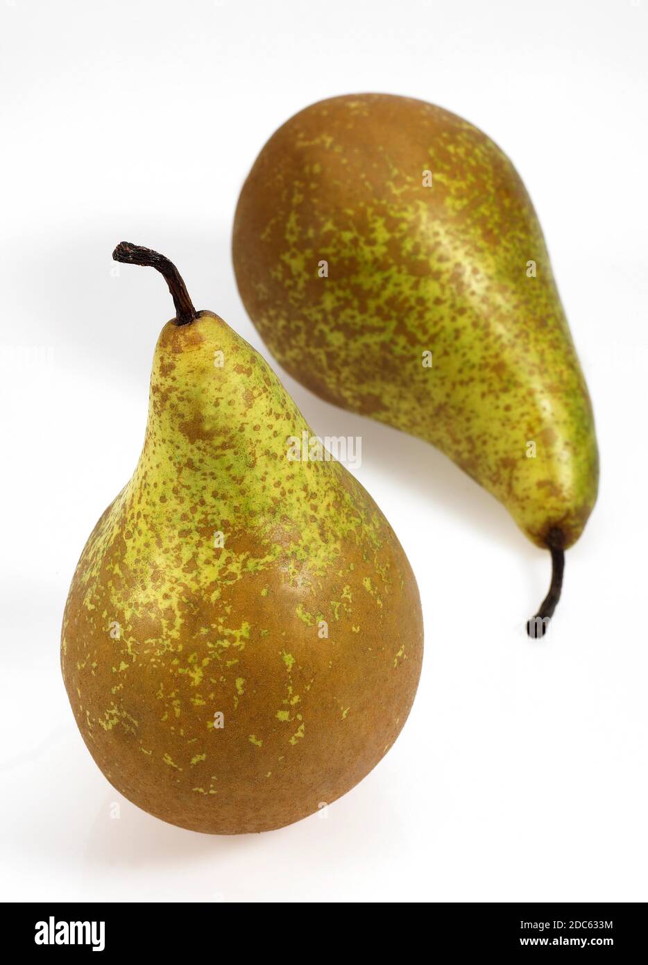 Conference pear cut out hi-res stock photography and images - Alamy