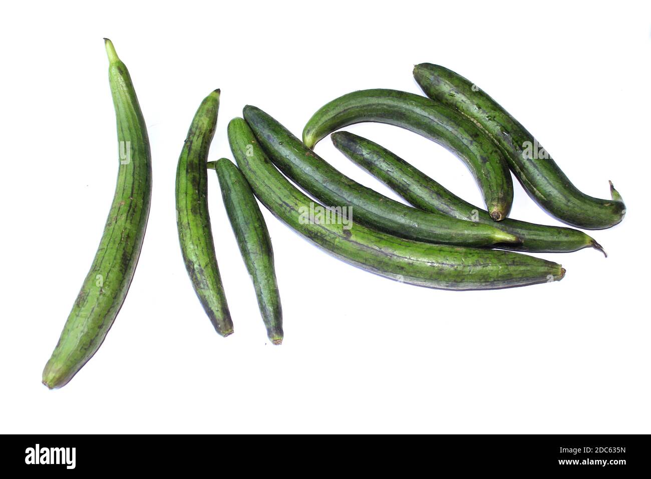 Turai Cut Out Stock Images & Pictures - Alamy