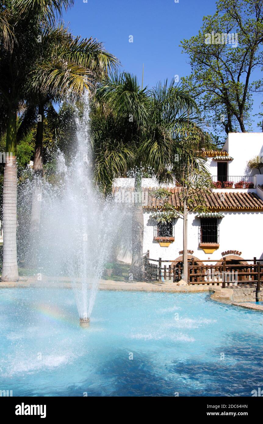 Inca tree hi-res stock photography and images - Alamy