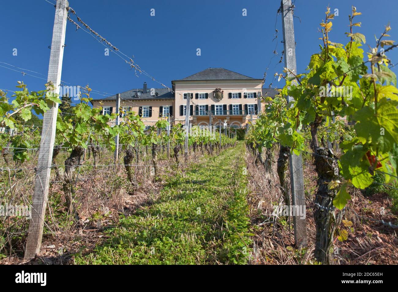 geography / travel, Germany, Hesse, Geisenheim, castle Johannisberg ...