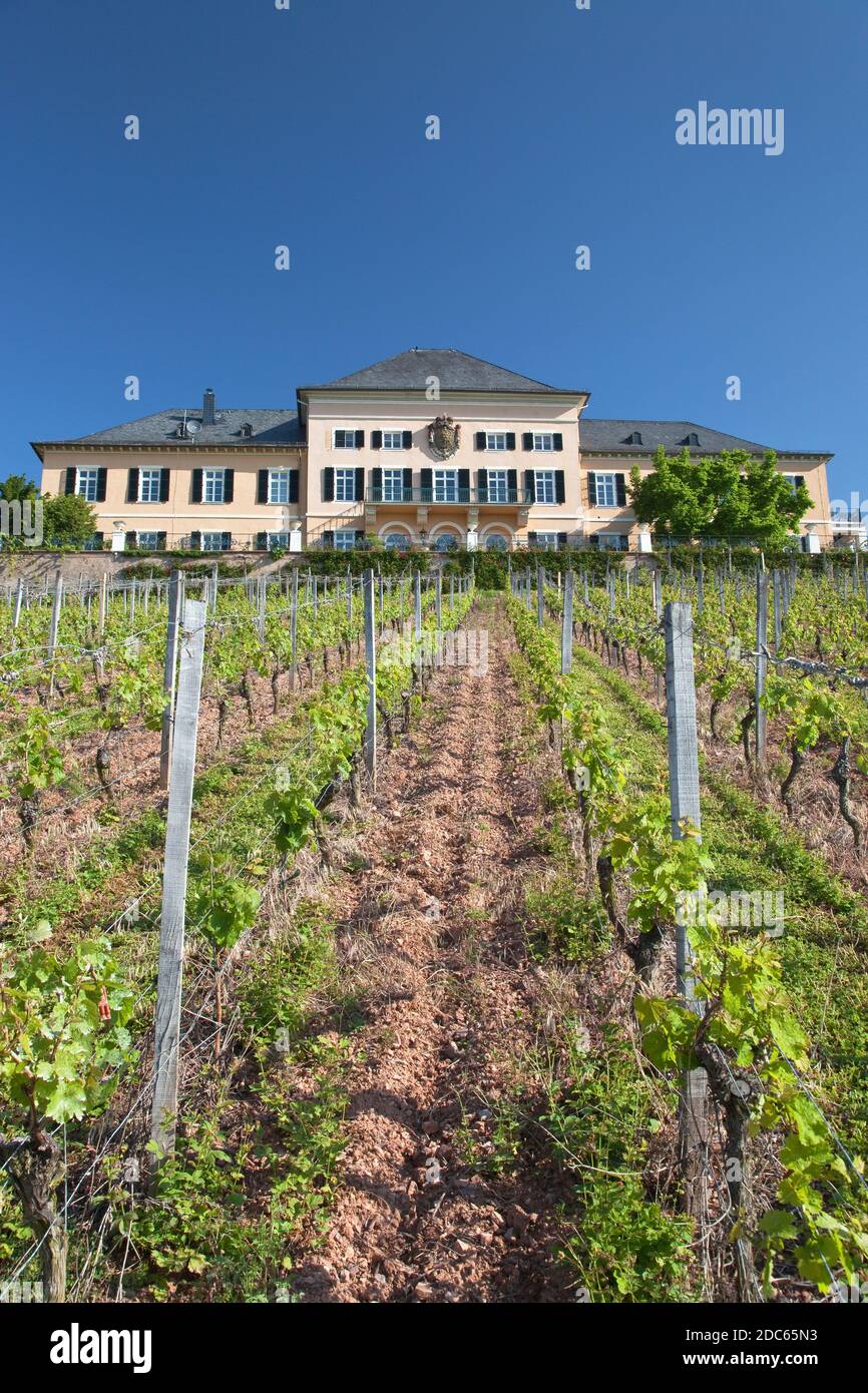 geography / travel, Germany, Hesse, Geisenheim, castle Johannisberg ...