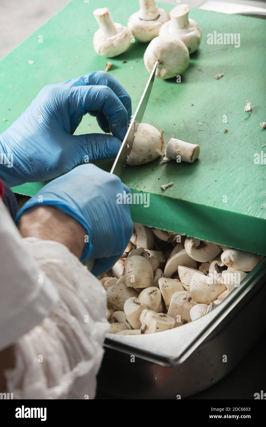A chef cutting mushrooms in a restaurant kitchen Stock Photo - Alamy