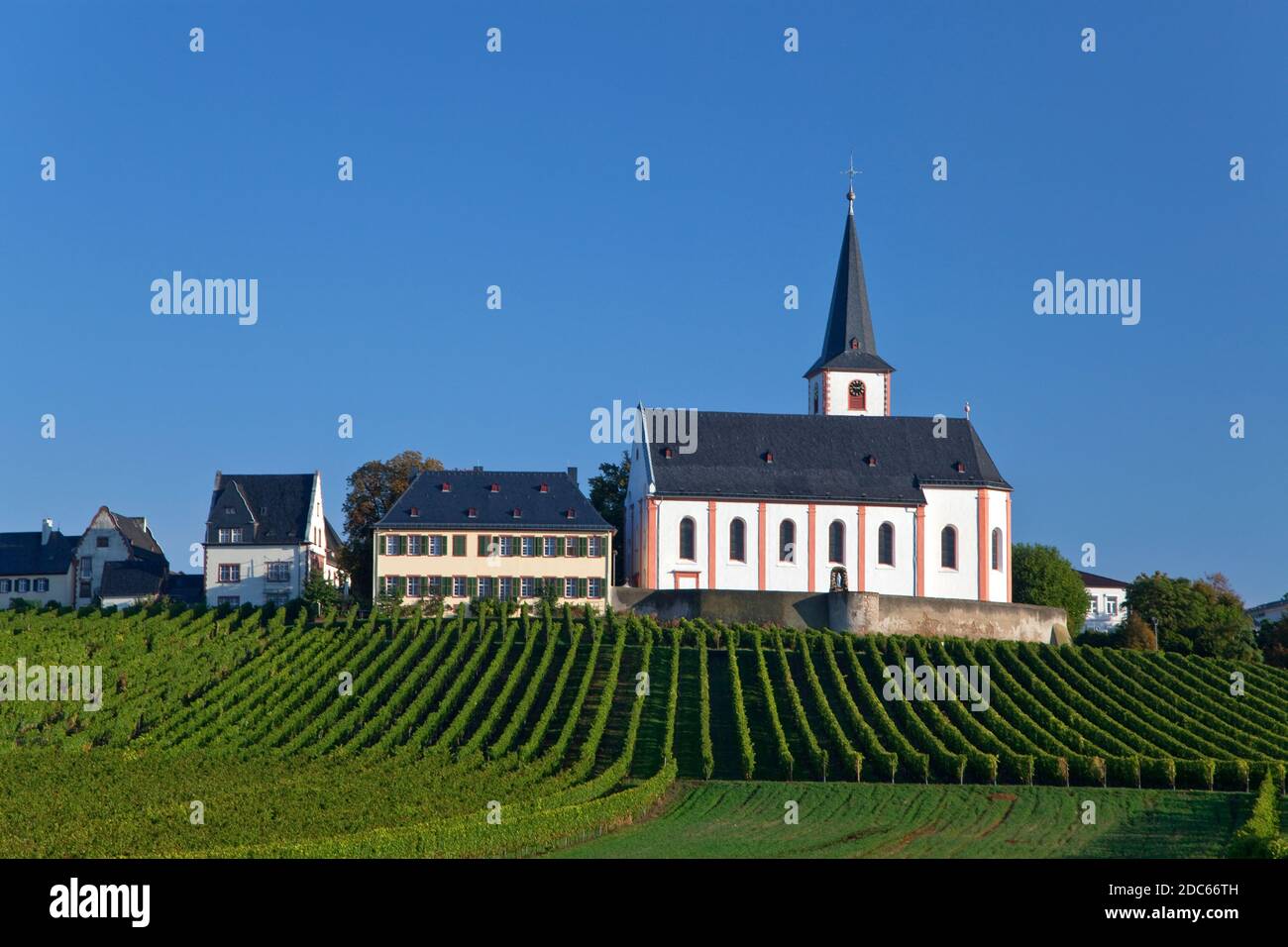 geography / travel, Germany, Hesse, Hochheim at Main, vineyard ...