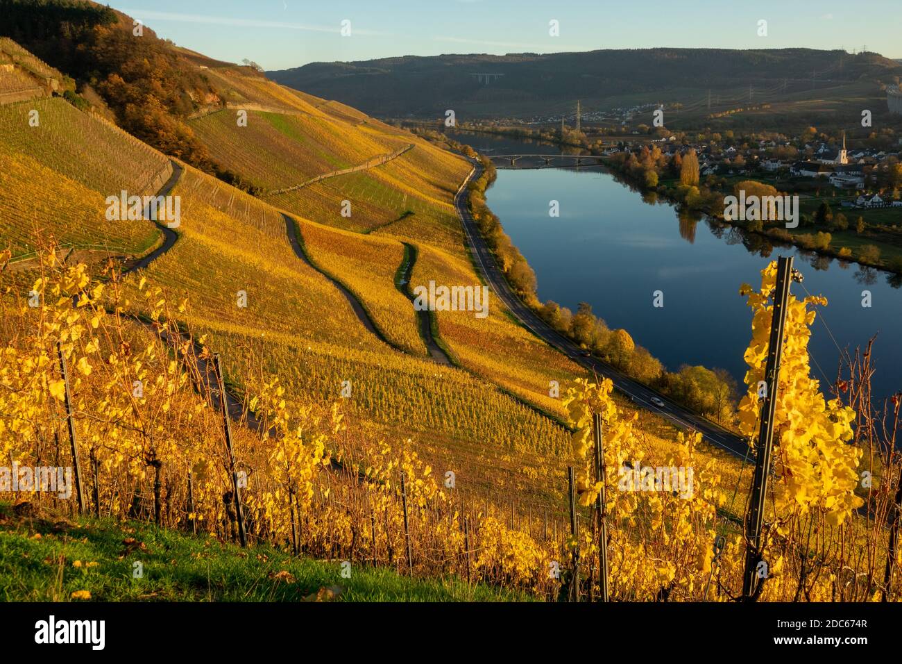 Schweich, Germany. 18th Nov, 2020. The vineyards along the Moselle ...