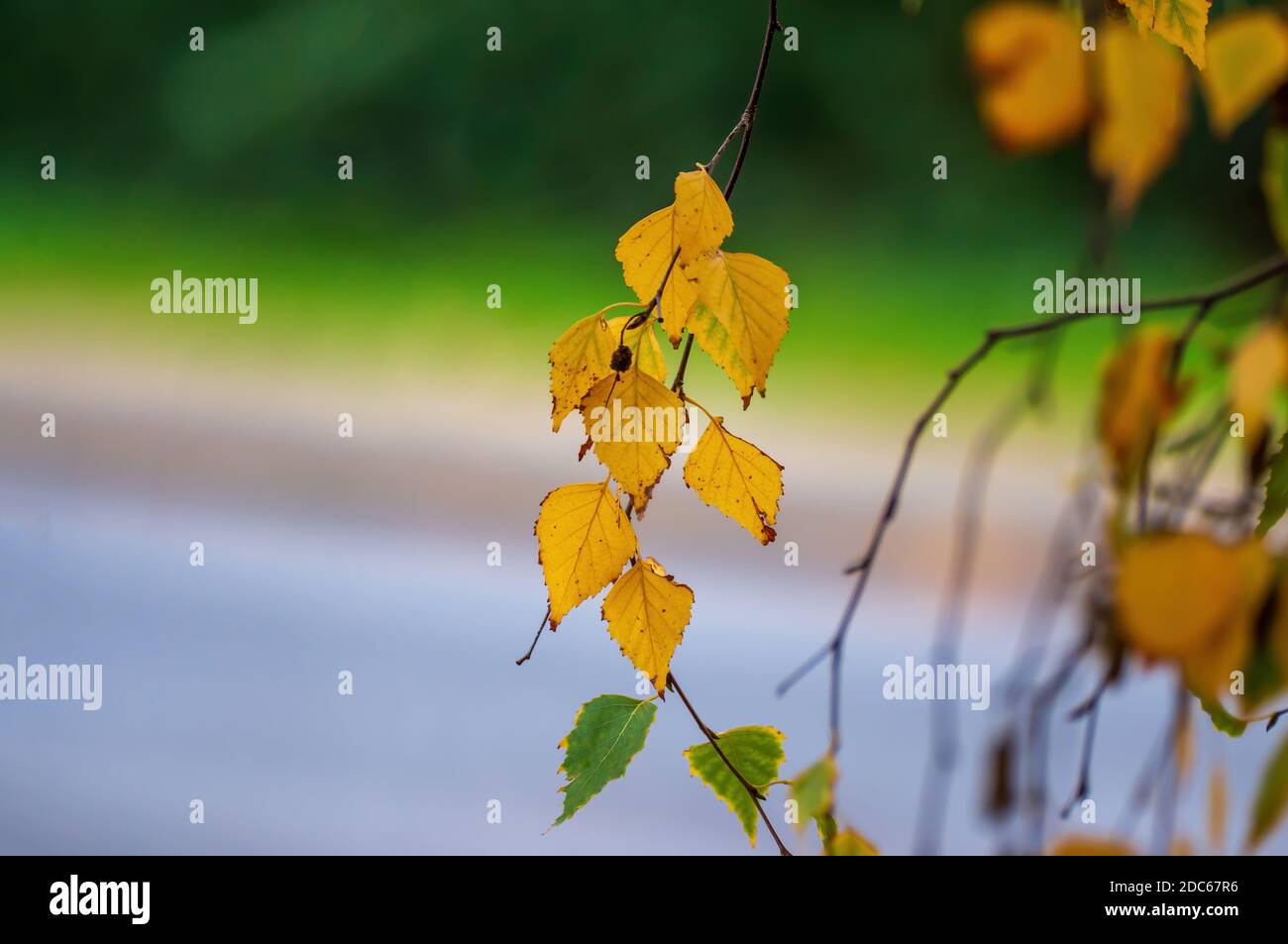 Nice colorful hi-res stock photography and images - Alamy