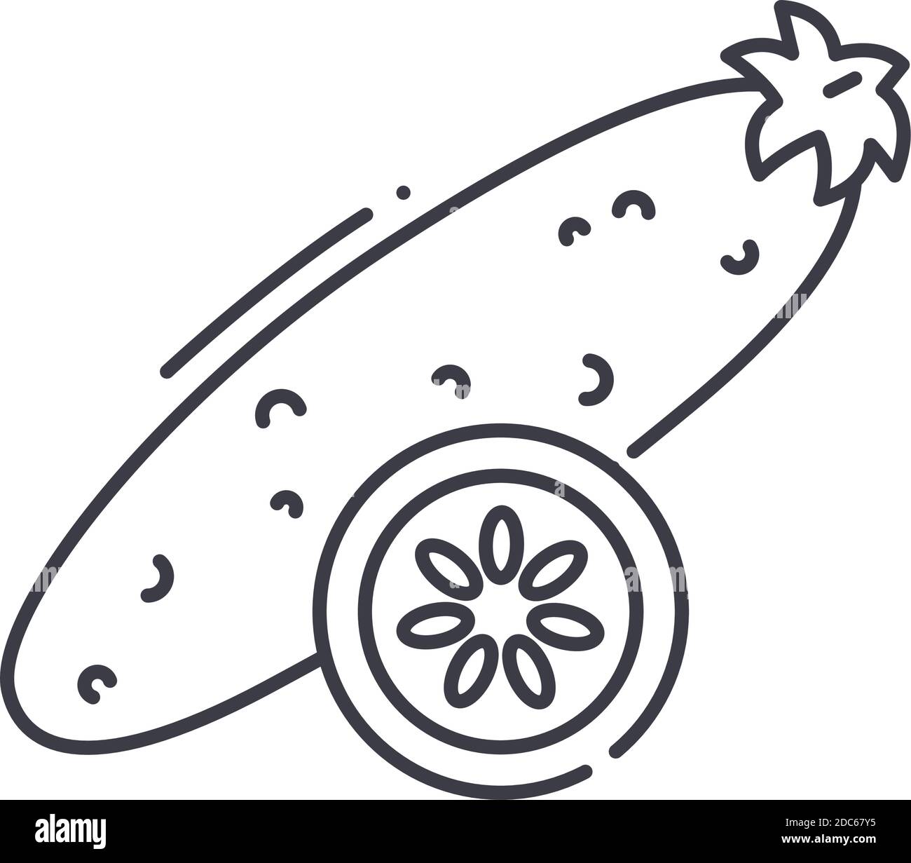 Cucumber icon, linear isolated illustration, thin line vector, web ...