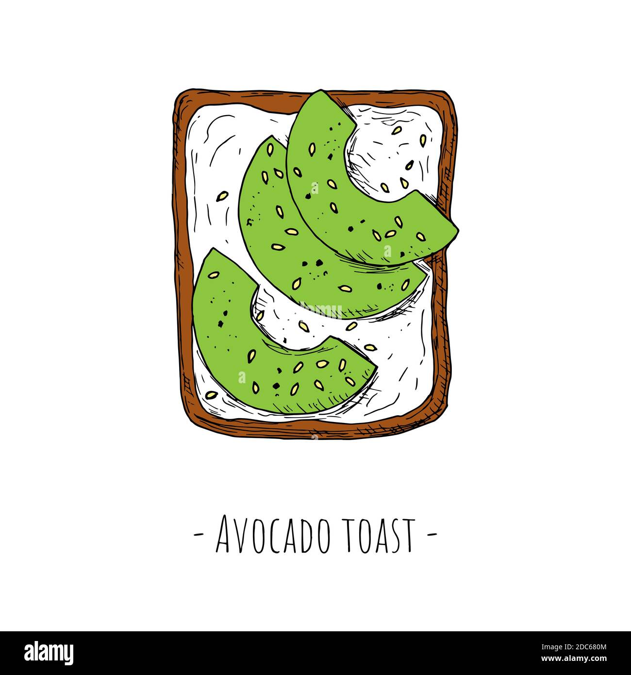 Avocado Toast Vector