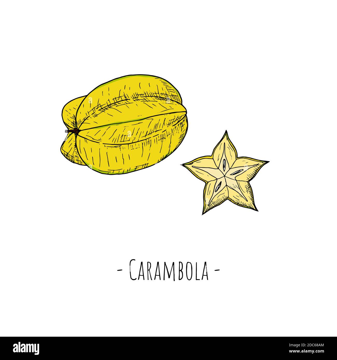 Whole carambola and carambloa slice. Vector cartoon illustration ...
