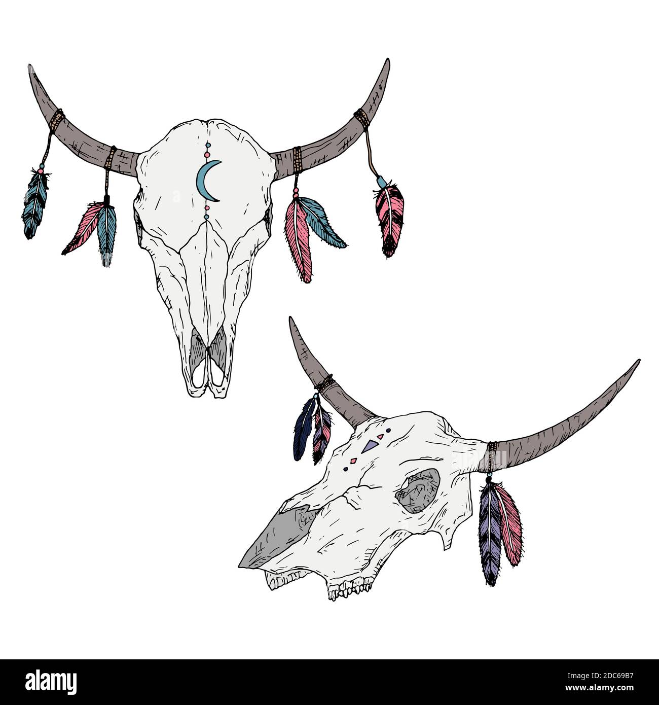 Bull skulls with feathers on horns. Boho style. Vector illustrations ...