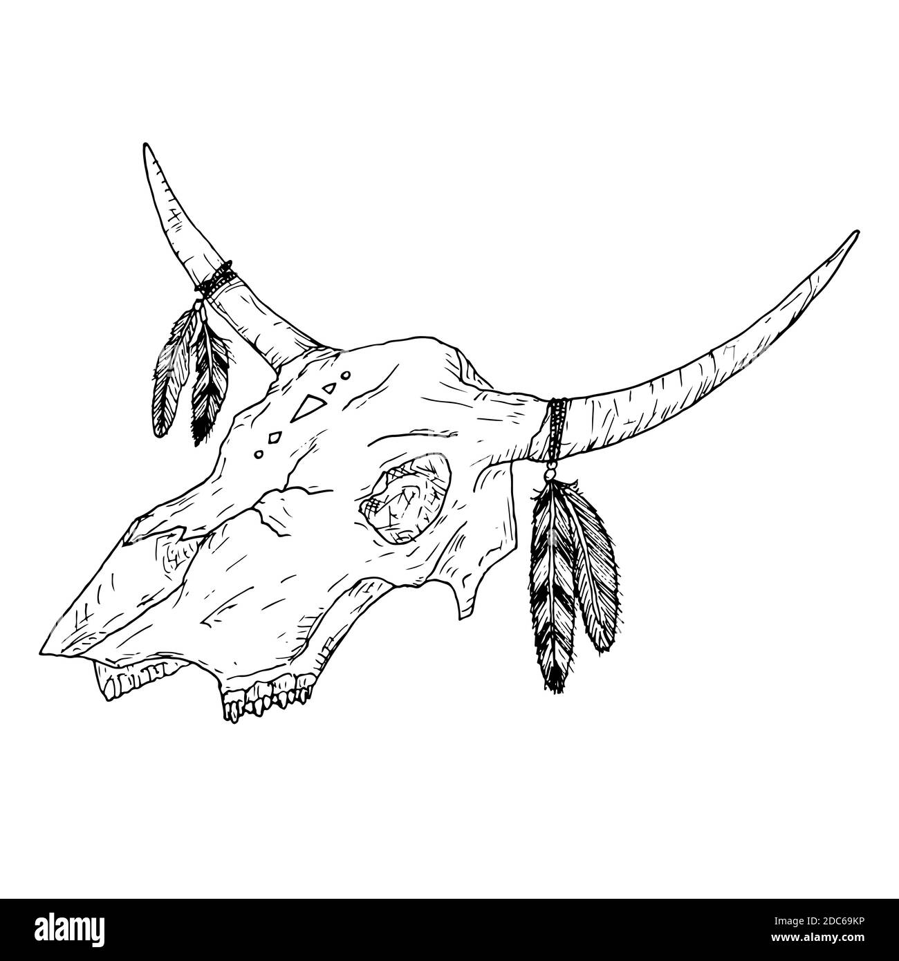 Bull skull with feathers on horns. Boho style. Vector illustration ...