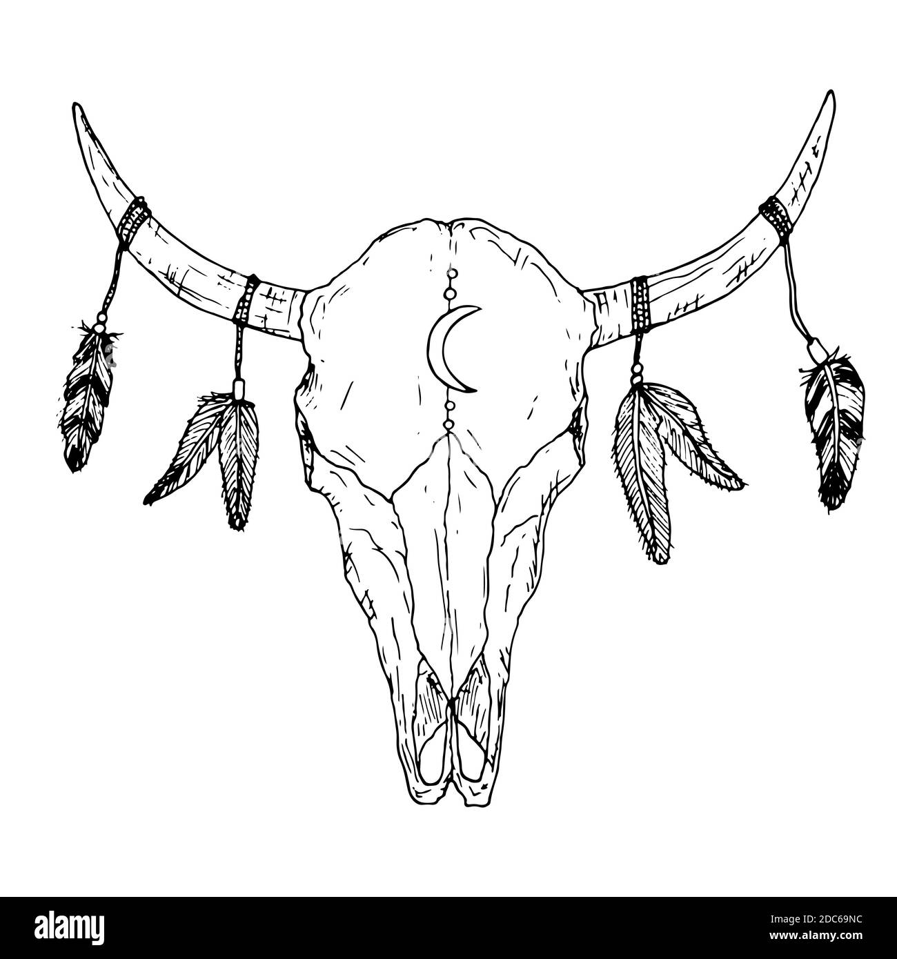 Bull skull with feathers on horns. Boho style. Vector illustration ...