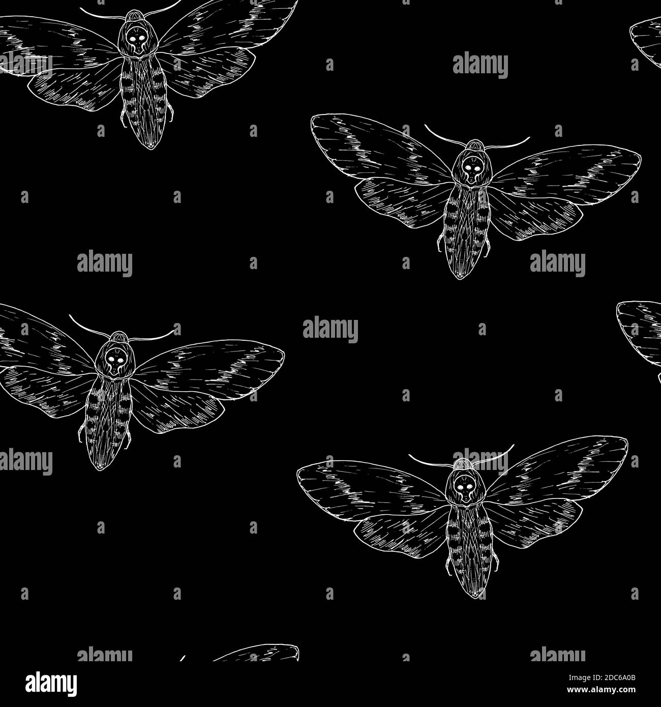 Seamless pattern of butterflies. Death's head moth. Vector background ...