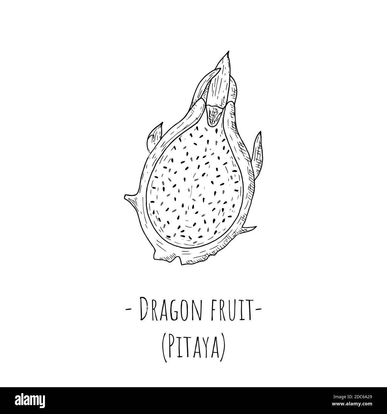 Slice of dragon fruit. Isolated object on a white background. Hand ...