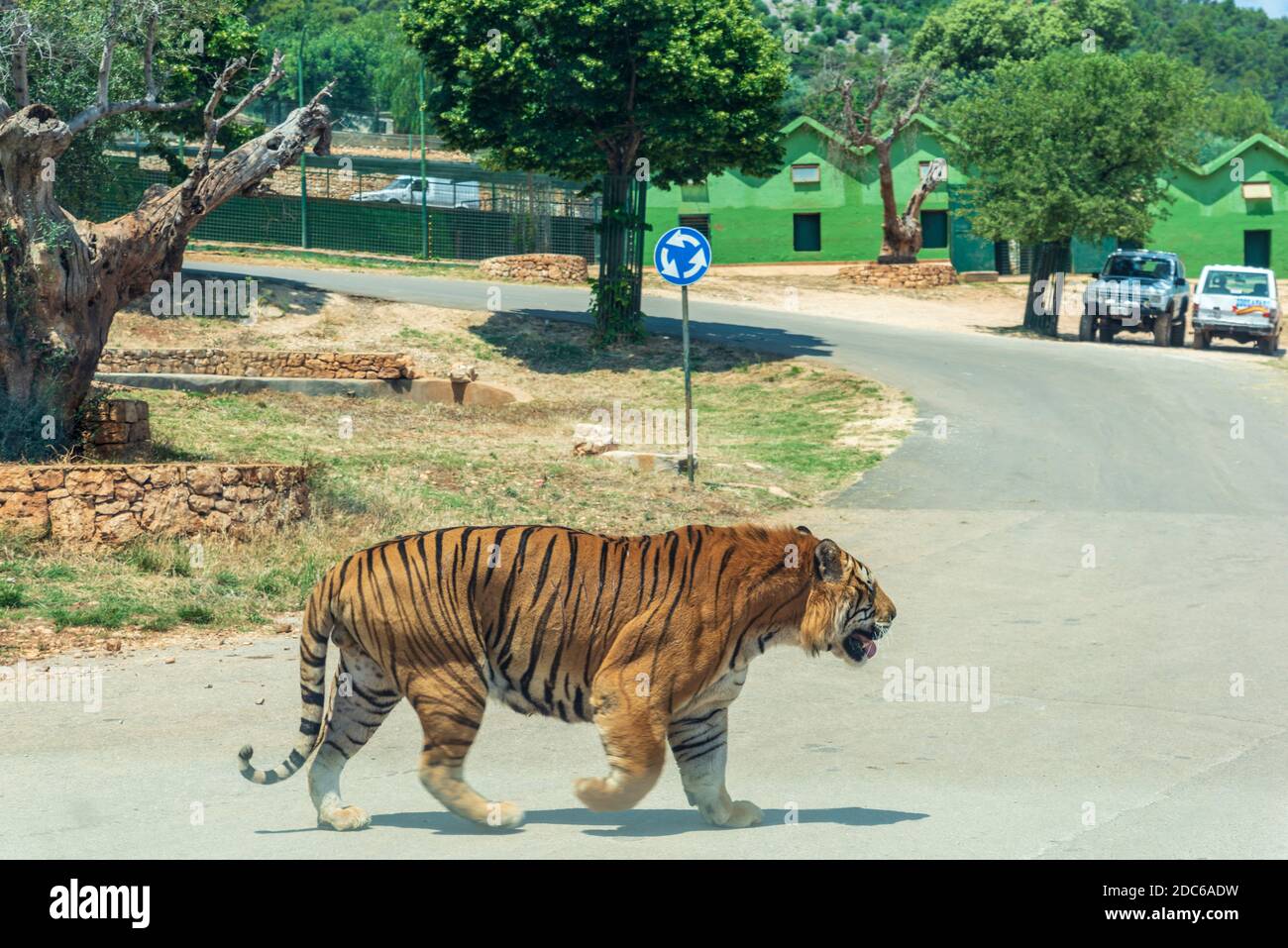 Animals from the Fasano safari zoo. Puglia Stock Photo - Alamy