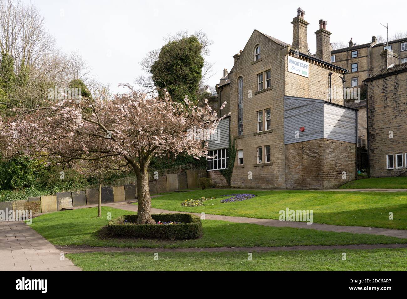 a cherry tree blossoms in holmside memorial gardens, holmfirth Stock ...