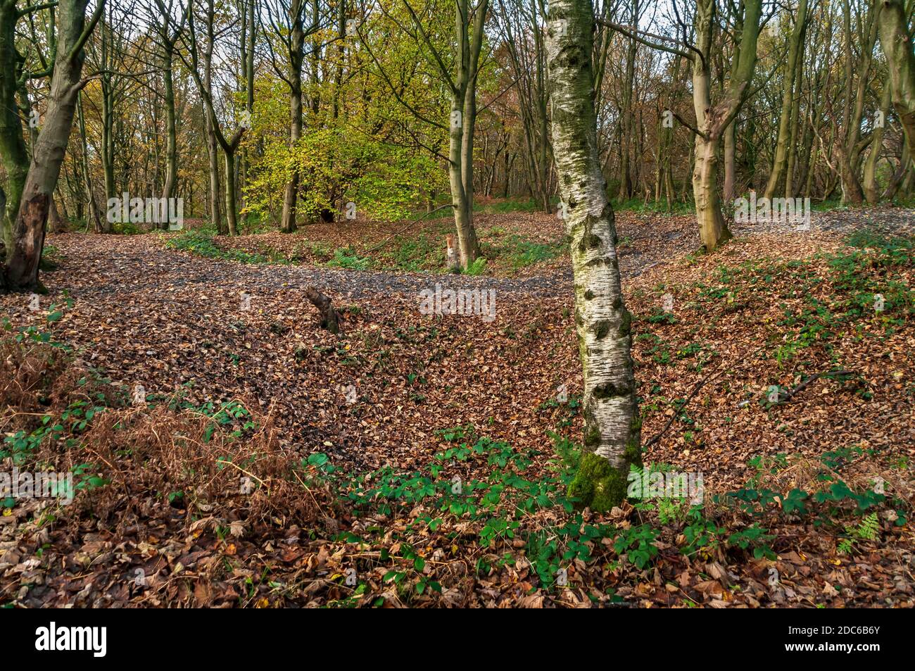 Craters left from shallow 19th Century ironstone mining shafts in ...