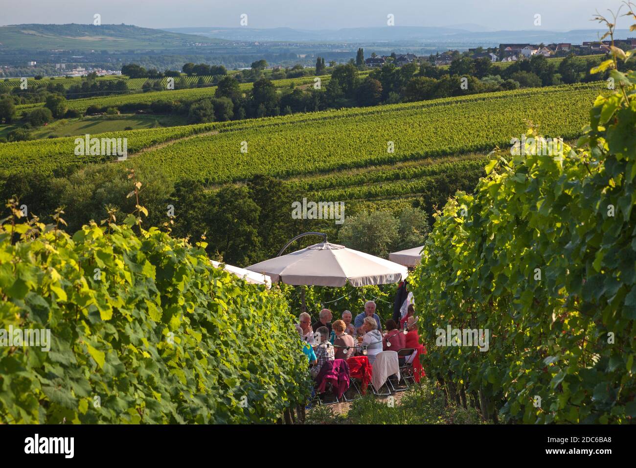 geography / travel, Germany, Hesse, Eberbach Monastery, Steinberg ...