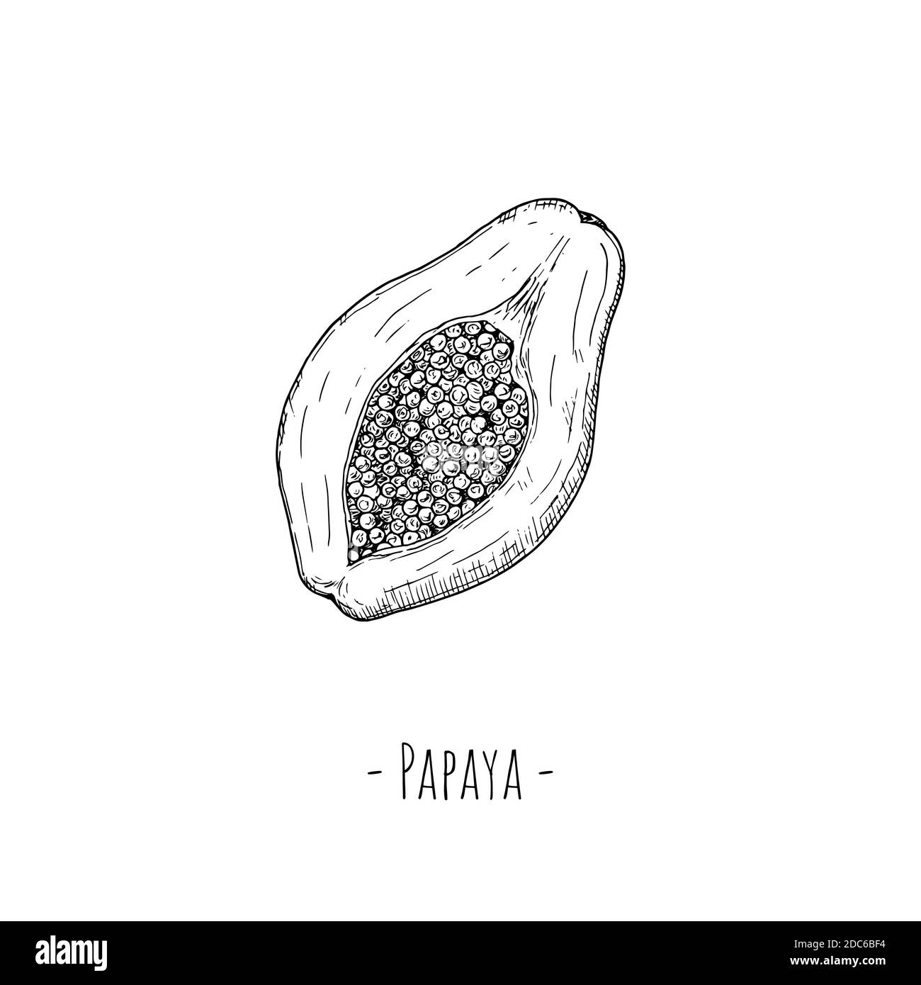 Papaya half. Vector cartoon illustration. Isolated object on a white ...