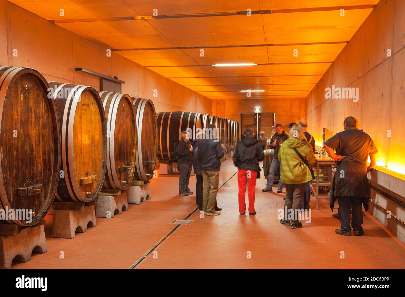 Germany wine cellar hi-res stock photography and images - Alamy