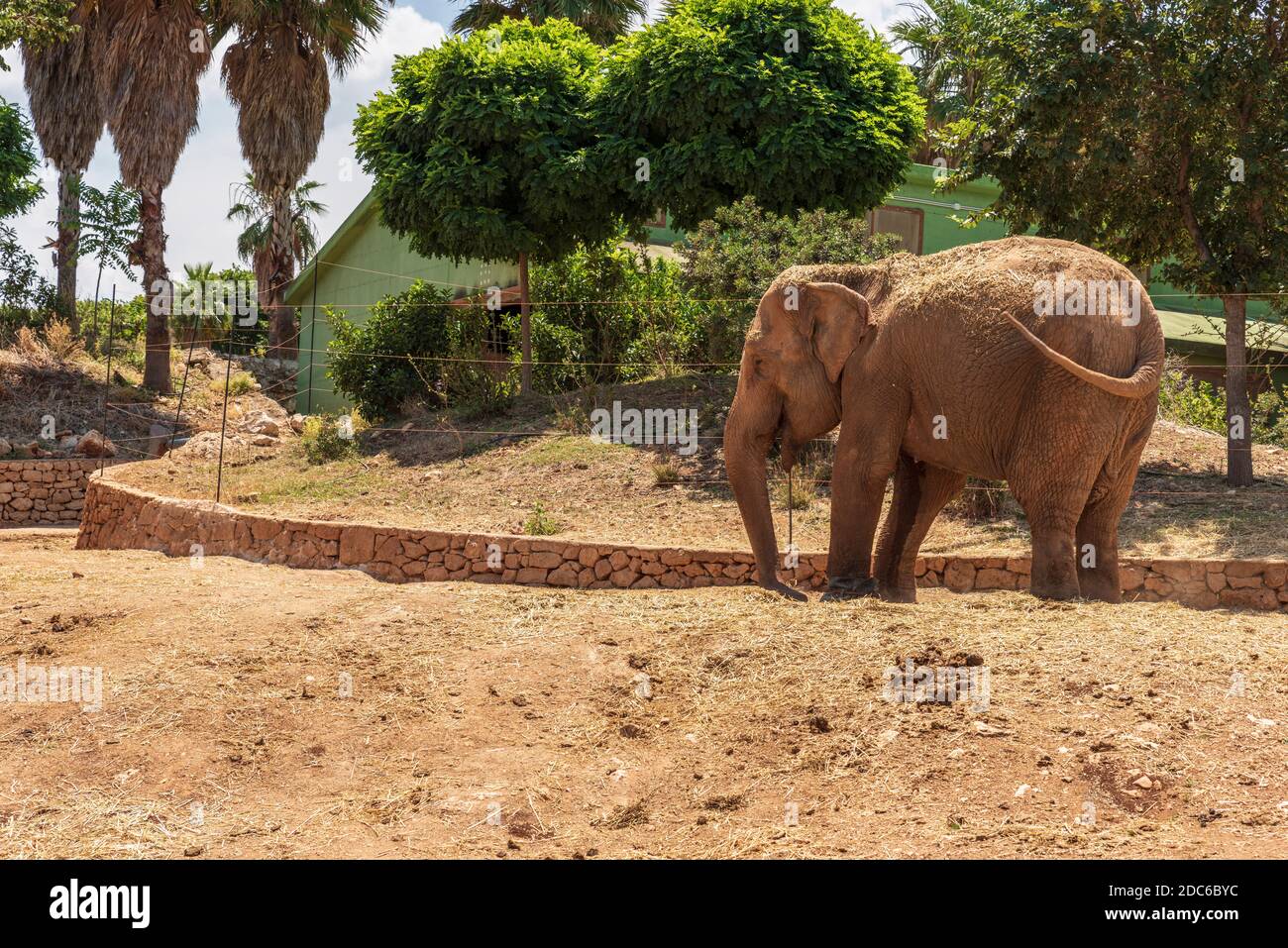 Animals from the Fasano safari zoo. Puglia Stock Photo - Alamy
