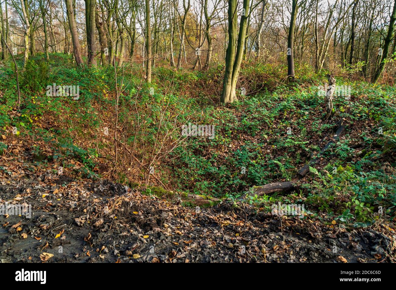 Craters left from shallow 19th Century ironstone mining shafts in ...