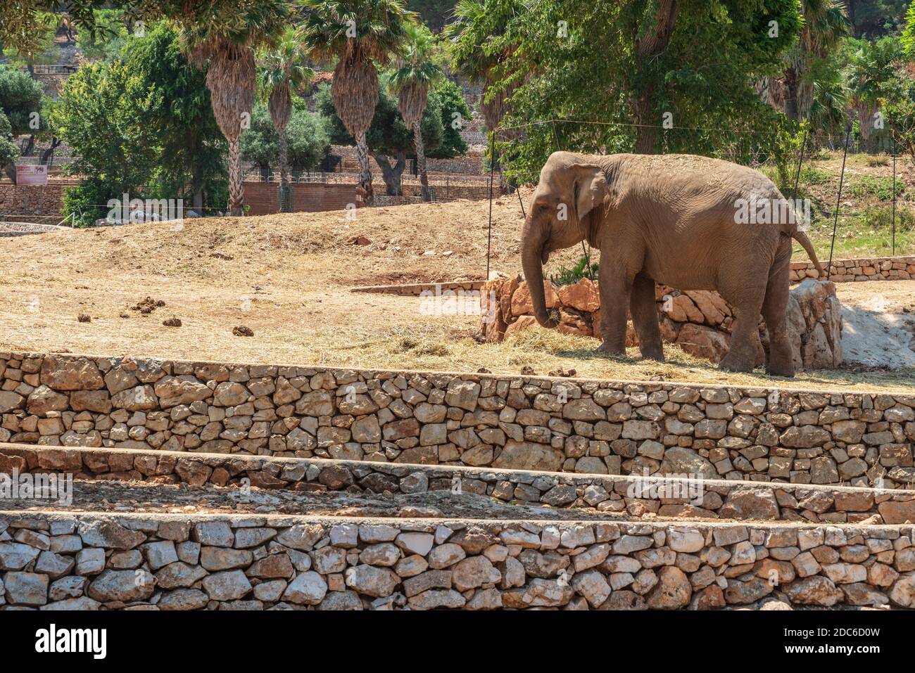 Animals from the Fasano safari zoo. Puglia Stock Photo - Alamy