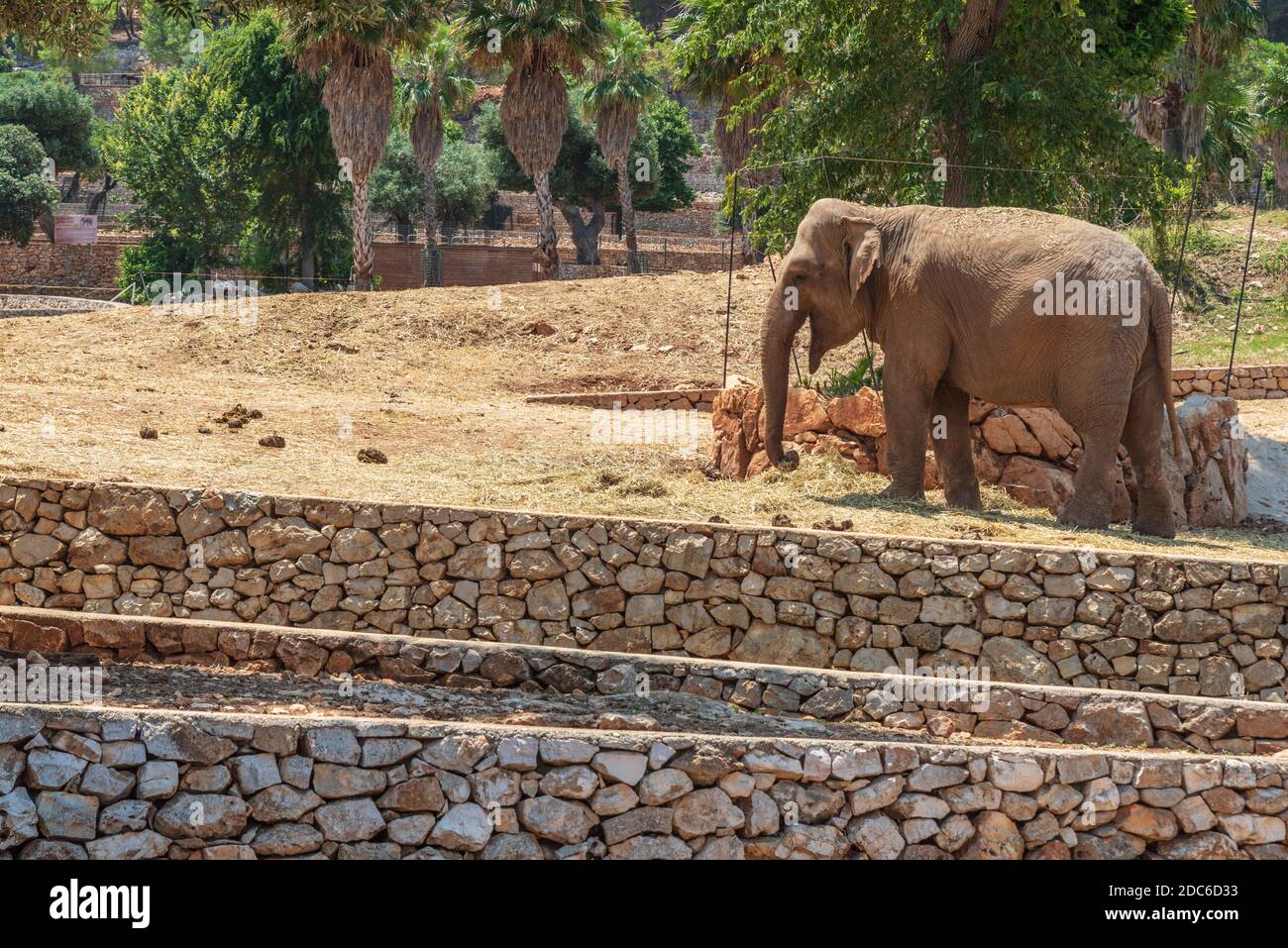 Animals from the Fasano safari zoo. Puglia Stock Photo - Alamy