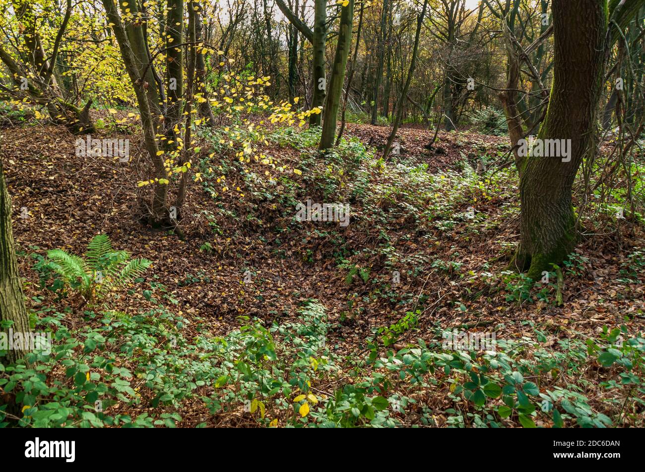 Craters left from shallow 19th Century ironstone mining shafts in ...