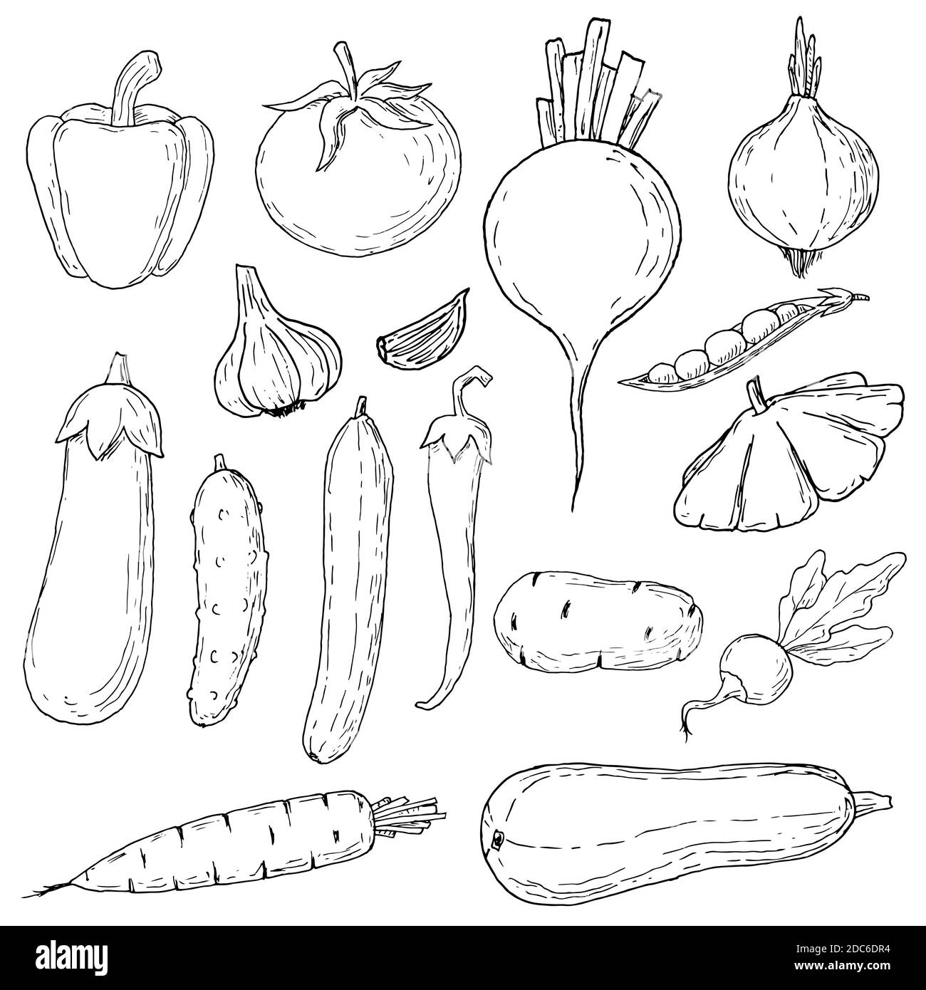 Vegetables set. Vector cartoon illusrations. Isolated objects on white ...