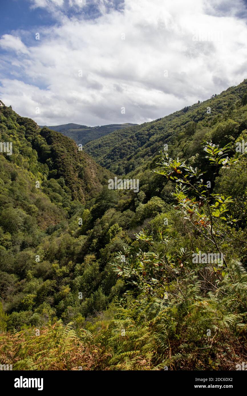 A beautiful forest landscape in Taramundi, Spain Stock Photo - Alamy