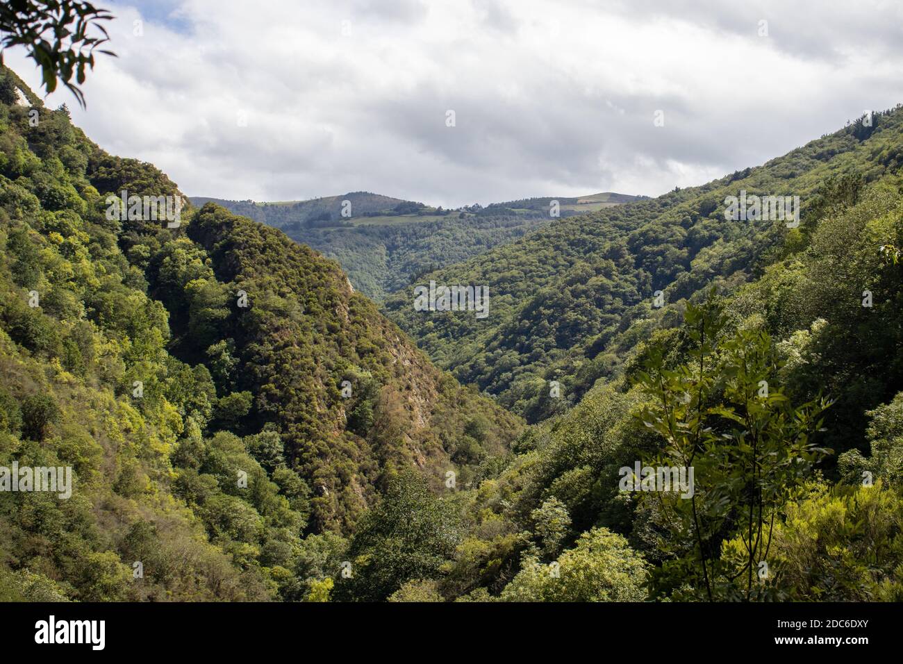 A beautiful forest landscape in Taramundi, Spain Stock Photo - Alamy