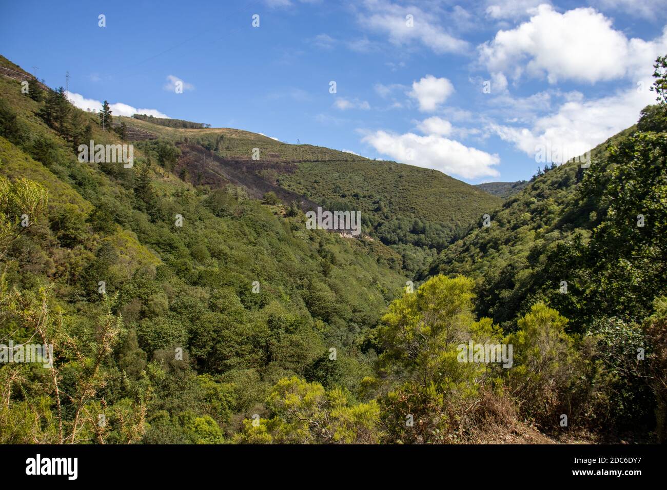 A beautiful forest landscape in Taramundi, Spain Stock Photo - Alamy
