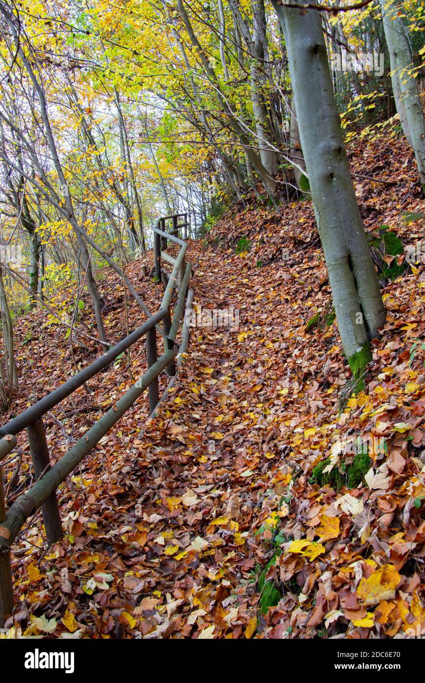 Magical pathway hi-res stock photography and images - Alamy