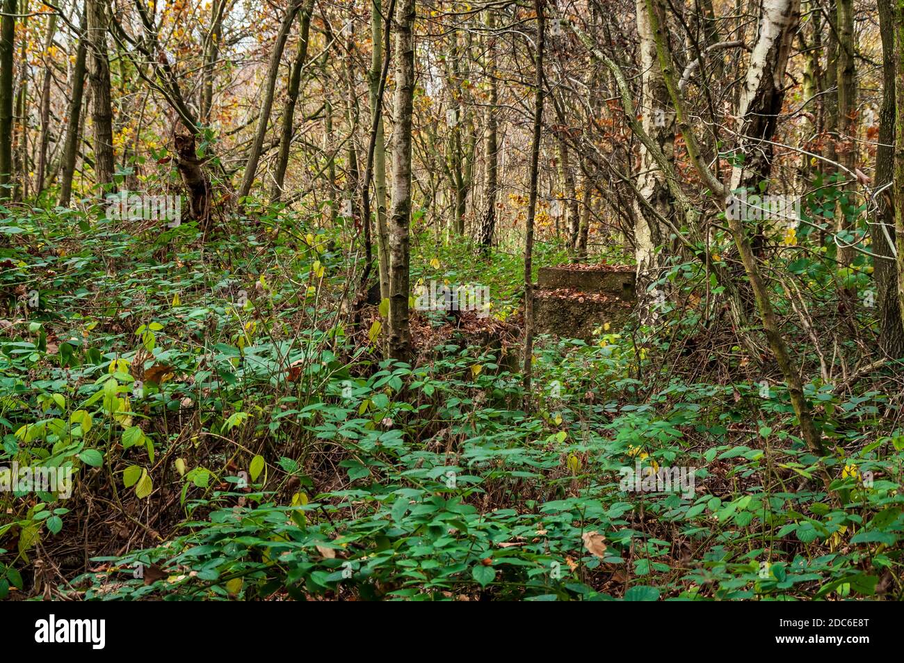 Bell pit mining hi-res stock photography and images - Alamy