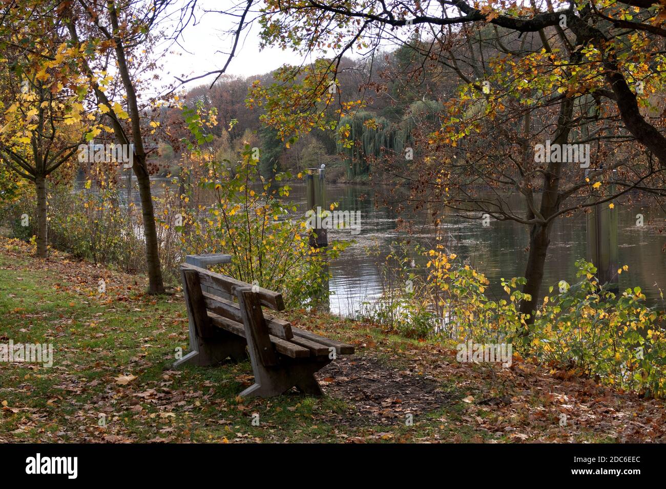 An empty wooden bench on a river shore surrounded by autumn nature ...