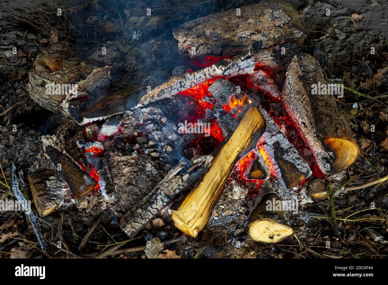 Glowing outdoor bonfire with burned and fresh wood logs, ash and ...