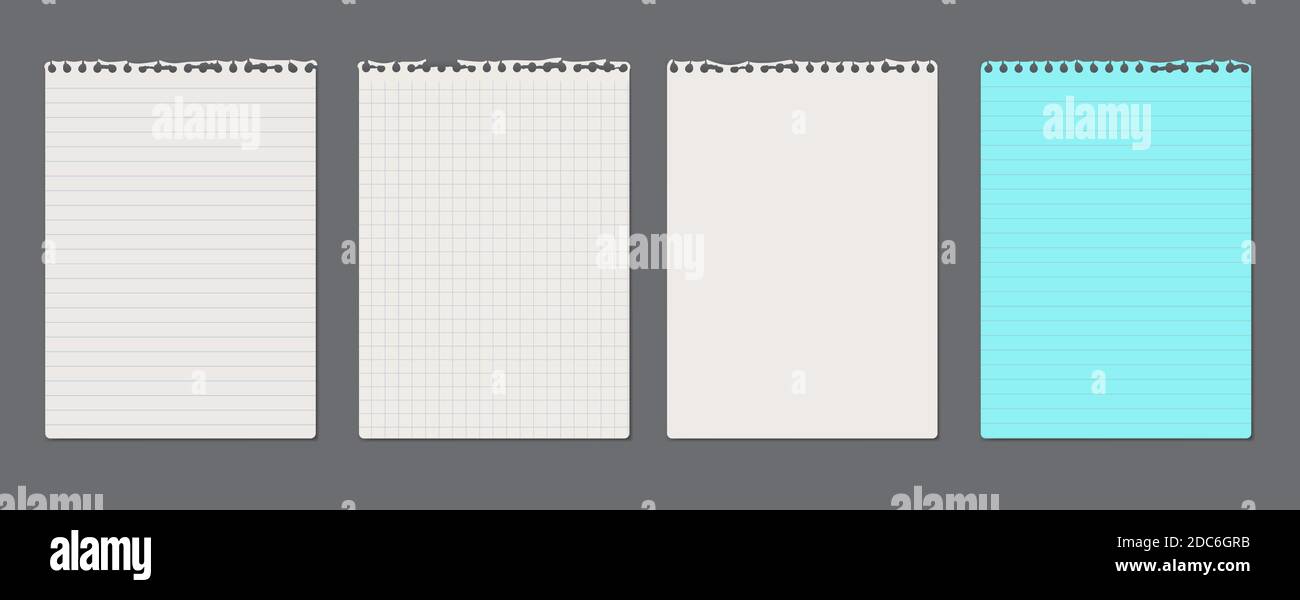 Torn of white, blue lined, math note, notebook paper are on dark gray ...