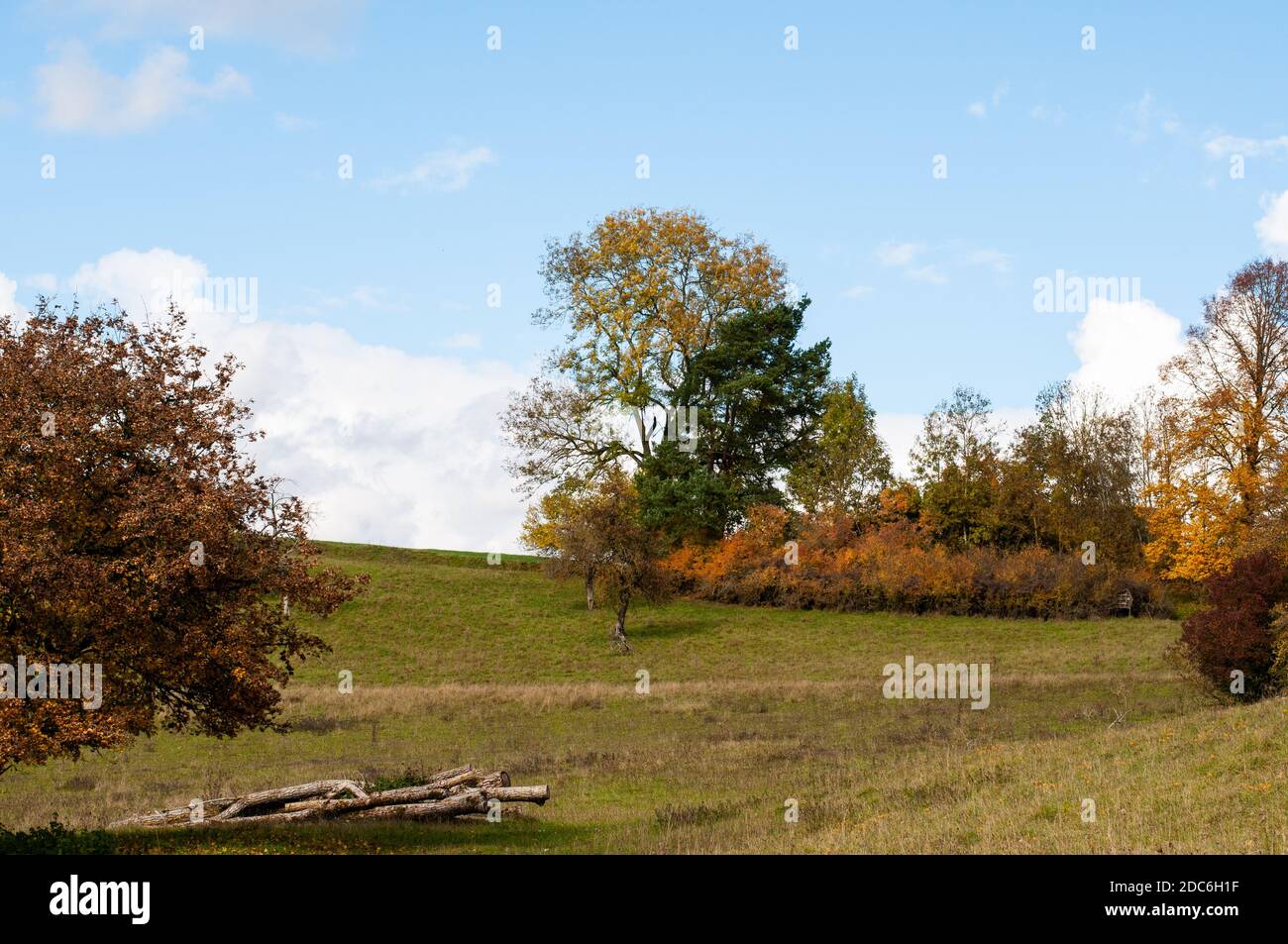 a hilly landscape in swabian alb with colorful trees and shrubs in dry ...
