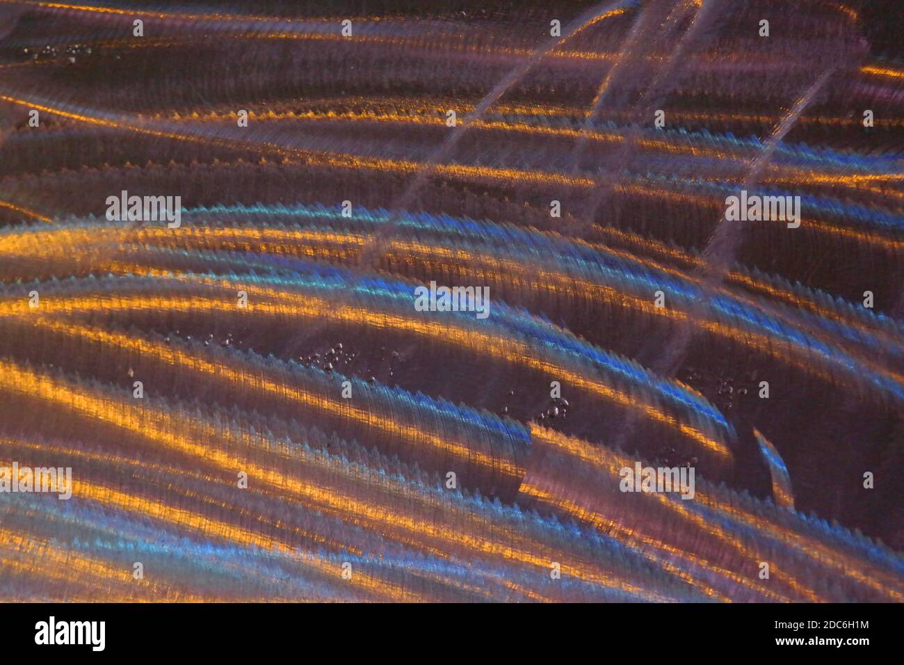 Abstract wavy background. Texture design, bright poster. Background ...