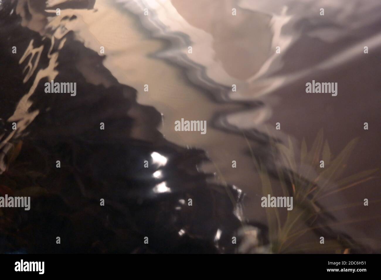 Abstract wavy background. Texture design, bright poster. Background ...